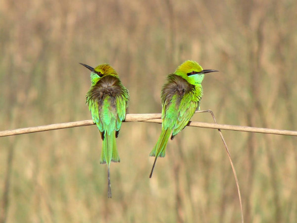 Places To Visit In Uttarakhand In November 2021 - Nativeplanet