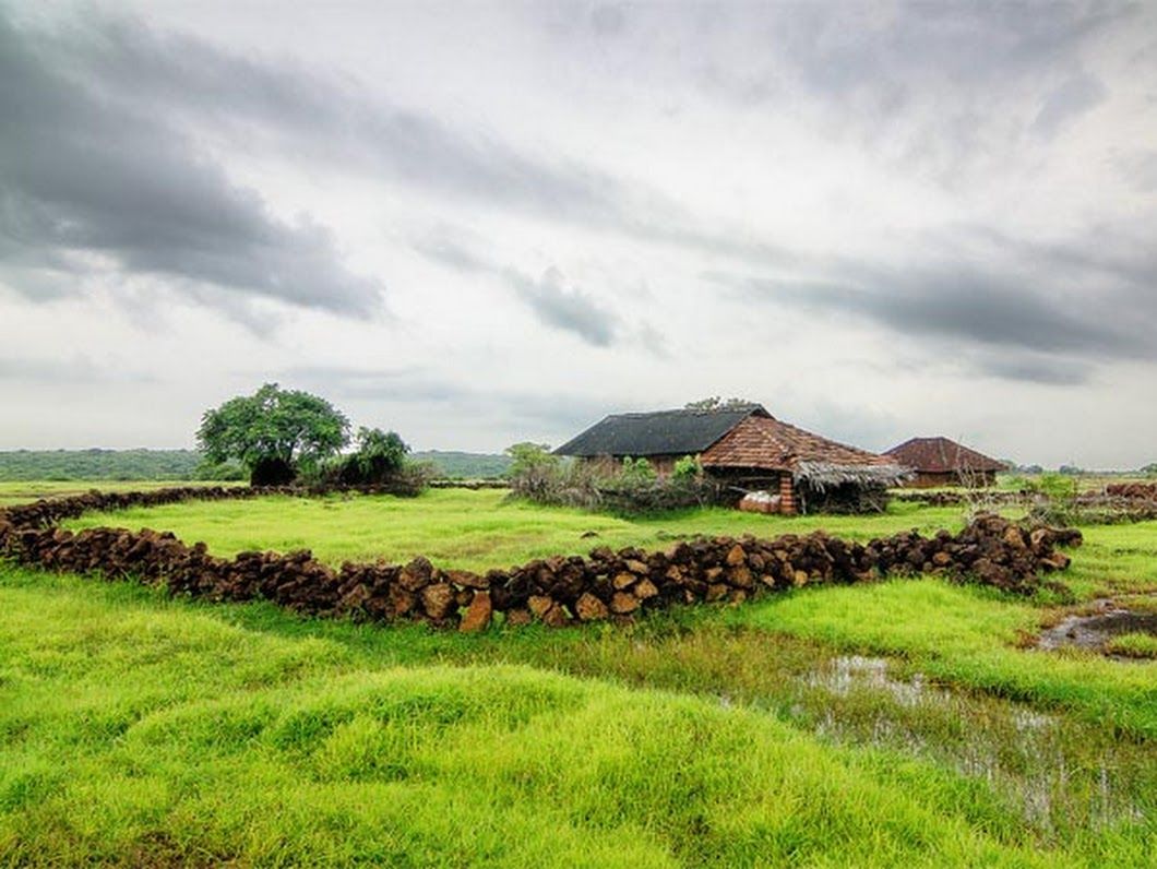 Places To Visit In Assam In March - Nativeplanet