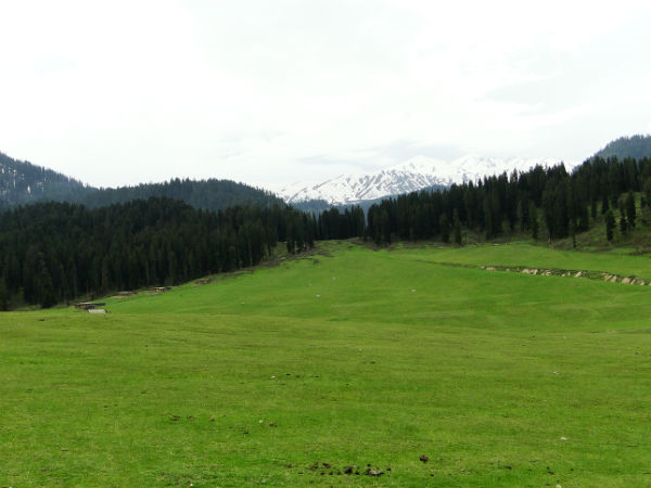 Places To Visit In Jammu & Kashmir In June - Nativeplanet