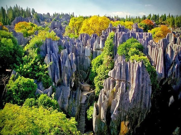 Lunan Stone Forest Location Facts History China - Nativeplanet