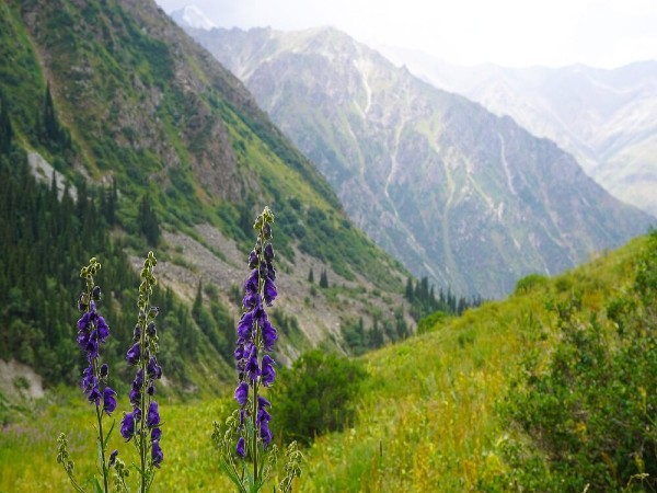 Tian Shan Heavenly Mountains Location Facts History China Asia ...