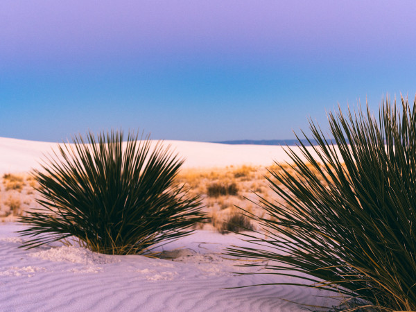 Experience A Desert in the Snowy Siberia: Chara Sands, Russia ...