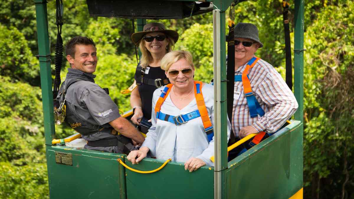 All you need to know about Daintree Rainforest! Australia - Nativeplanet