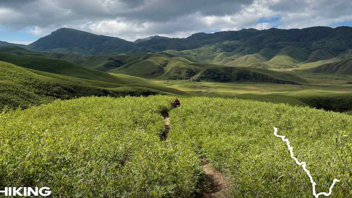 Dzukou Valley- Located at the border of Manipur and Nagaland, Travel ...