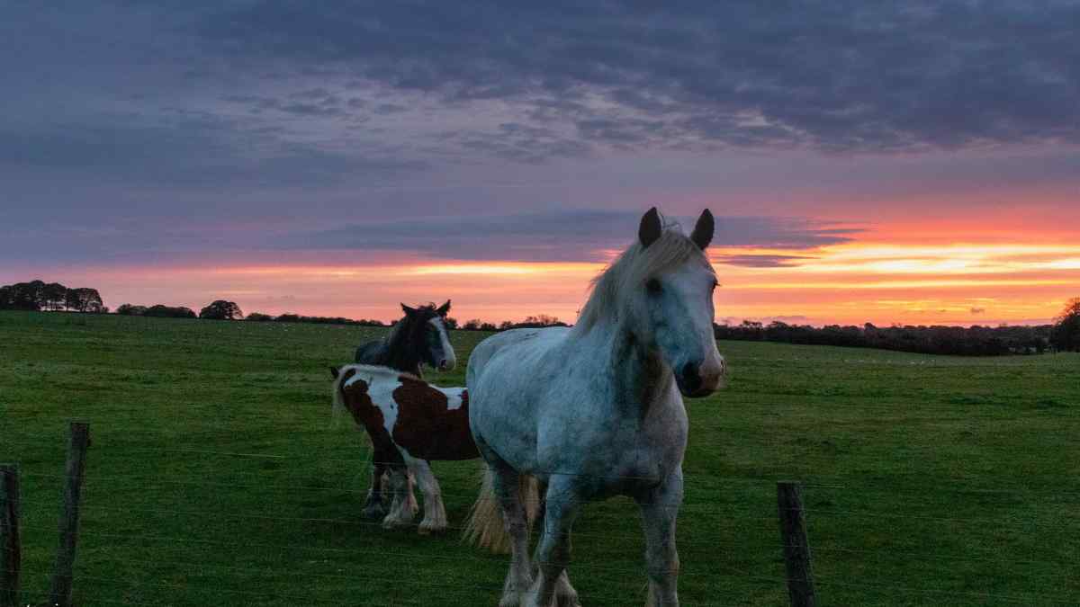 Have you been to the majestic Mendip hills? Take a look at this beauty ...