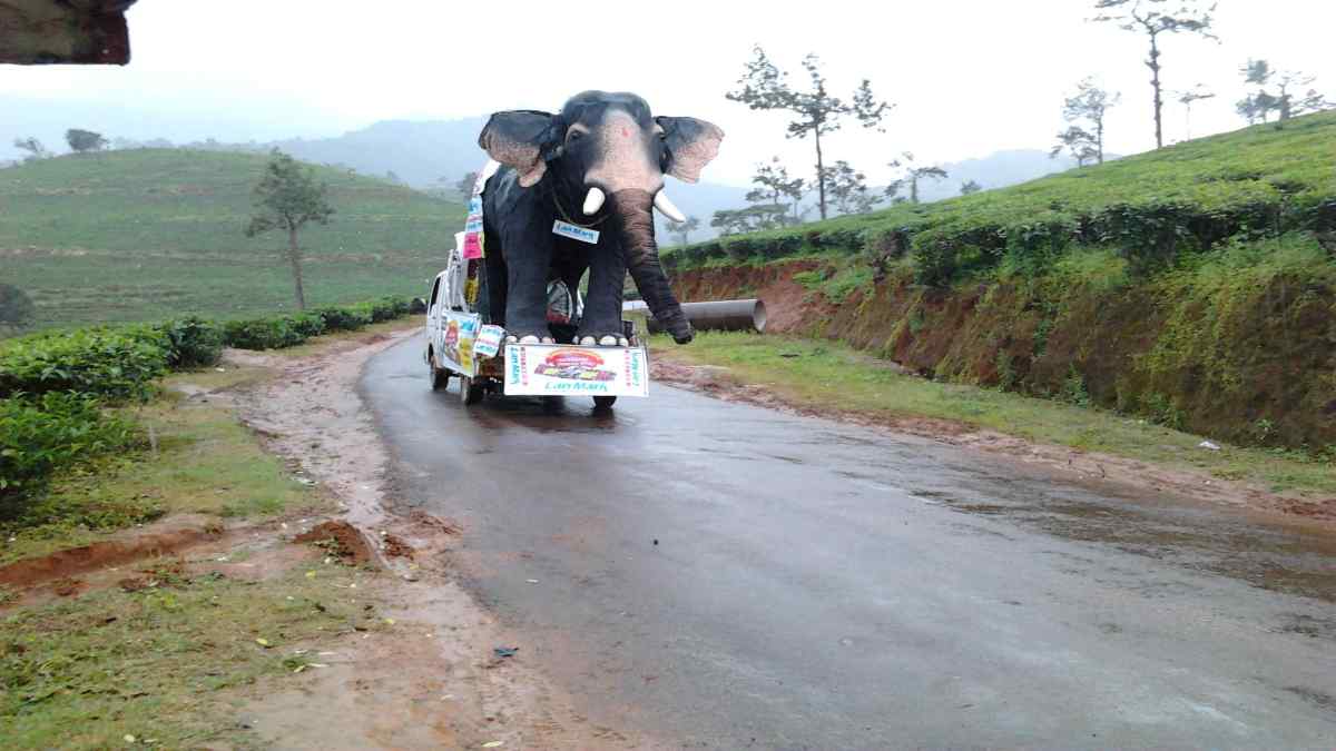 Meppadi- Don't Miss This Gorgeous Place During Your Waynad Trip ...