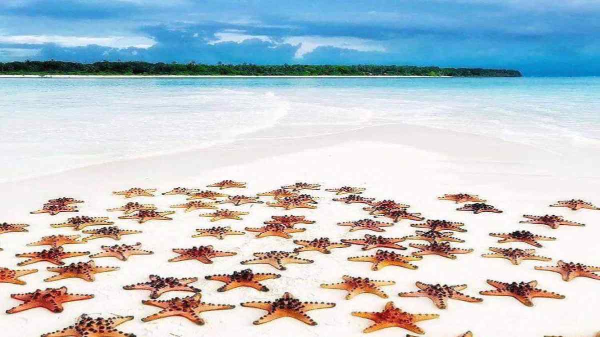 The dreamy Onuk island! The perfect go-to destination this summer ...