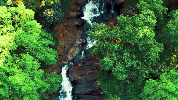 Five most stunning waterfalls in Madekeri during the monsoon season ...