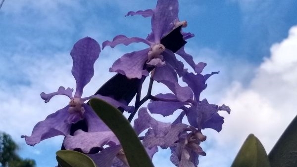 Imphal: Exploring the Natural Beauty and Mesmerizing Places to Visit ...