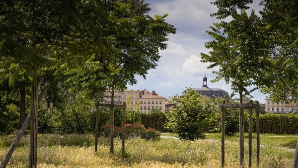 Bordeaux on a Budget: Affordable Luxury in France's Wine Region ...