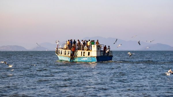 Feathered Guests of Chilika: Over 1 Lakh Migratory Birds Paint the Sky ...