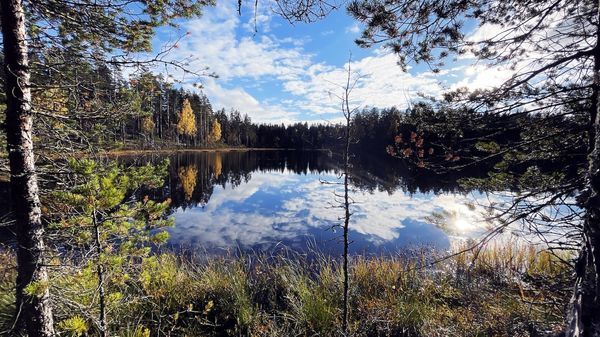 Discover Finland's Hidden Gems: A Guide to the Best New Lakes for ...