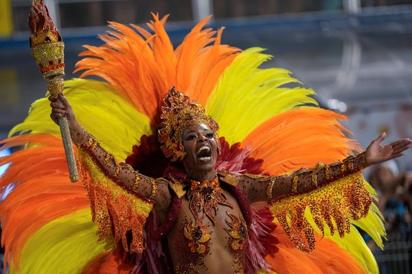 The Heartwarming Carnival of Rio: Blocão Steals the Show - Nativeplanet