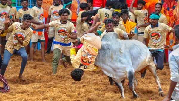 From Coconut Breaking on Head to Men Dressing as Women: 12 Unique ...