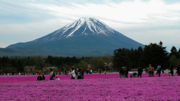 Mount Fuji Selfie Spot Blocked: Japan's Response to Unruly Tourists ...
