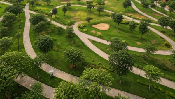 Ahmedabad to Get New Oxygen Park with 75,000 Trees; Check Location ...