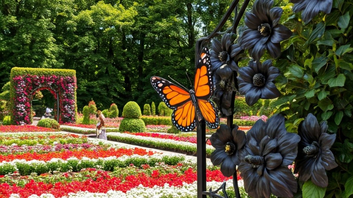 Chennai Flower Exhibition 2025 Starts; Check Location, Timings, Ticket ...