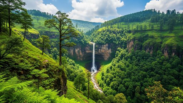 World's First Rain Museum To Open In Mawsynram, Meghalaya; Check ...