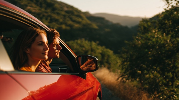 Unveil the Best Ways About How to Reach Wayanad From Bangalore: A ...