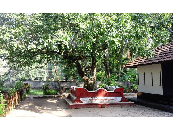 Thunchan Parambu In Tirur | തുഞ്ചൻപറമ്പിലെ തത്ത‌യെ കണ്ടിട്ടുണ്ടോ ...