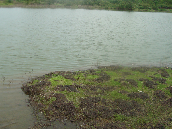 Madaipara a Gateway to unexplored history and Biodiversity ...