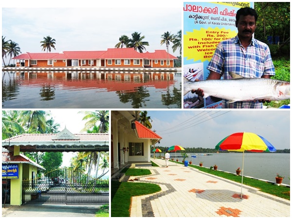 പാലാക്കരി ഫാം വൈക്കം |Let us Go To Palaikari Fish Farm Vaikom | ഇനി ഒരു ...