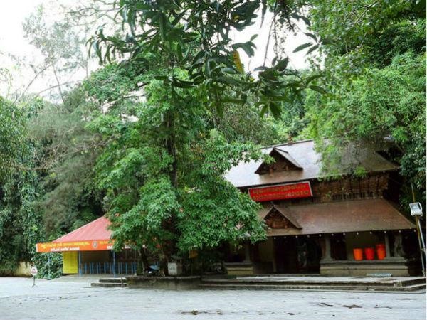 Famous Snake Temples in Kerala | നാഗരാജാവ് വാഴുന്ന മണ്ണാറശ്ശാല മുത ...
