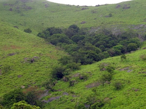 ആനകൾ വിരുന്നെത്തുന്ന പാൽക്കുളമേട് | Palkulamedu in Idukki- Attractions ...