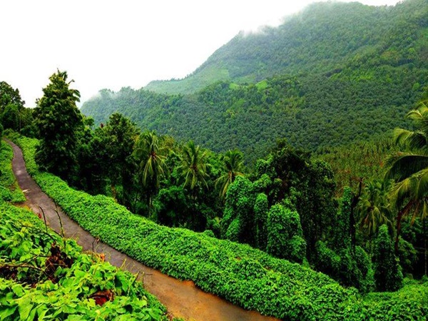 Vazhamala in Panoor, Kannur- Attractions and How To Reach ...