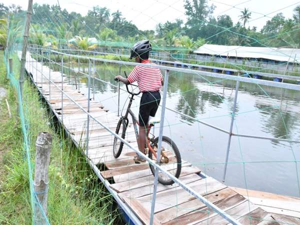 400 രൂപയ്ക്ക് അടിപൊളി ഓണാഘോഷം | Fish World Aqua Tourism Village, Vaikom ...