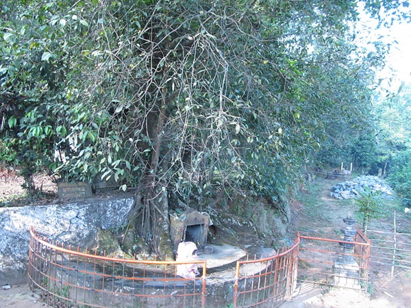 കാടിനുള്ളിൽ വഴിവെട്ടിയ കരിന്തണ്ടനെ തളച്ച ചങ്ങലമരത്തിന്‍റെ കഥ! | The ...