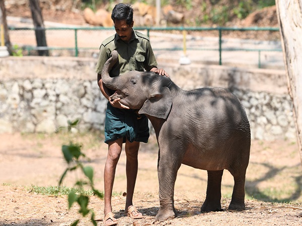 കൊ‌ട്ടൂര്‍- തിരുവനന്തപുരത്തെ അറിയപ്പെടാത്ത പറുദ്ദീസ! | Kottur in ...