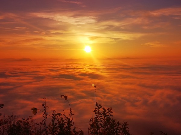 Kottappara Hills and Viewpoint in Idukki- Attractions Specialties and ...