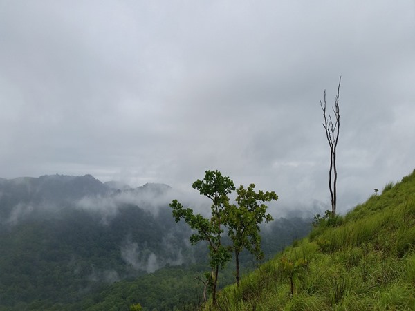 വണ്ണപ്പുറത്തെ അഞ്ച് ഇടങ്ങള്‍... തൊമ്മന്‍കുത്ത് മുതല്‍ കാറ്റാടിക്കടവ് ...