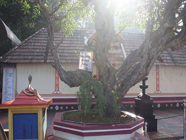 കടലിനഭുമുഖമായ ശ്രീകോവിലും വെടിക്കെട്ടില്ലാത്ത ഉത്സവവും! കടലിനെയും ...