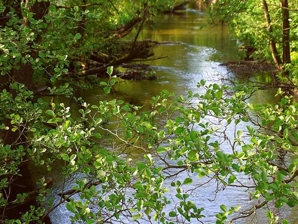 Maravanthuruthu Kottayam STREET Tourism Project: Kayaking Timinhs, Cost ...