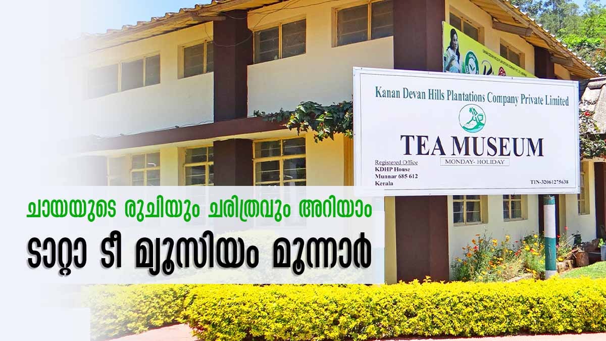 Munnar Tata Tea Museum- Attractions, Specialities, Timings And Entry ...