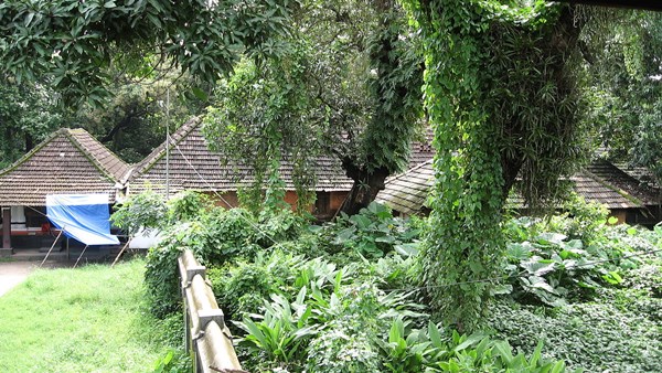 Birth Star Temple-Pambummekkattu Mana Temple In Thrissur For Chothi Nakshatram-Details in ...