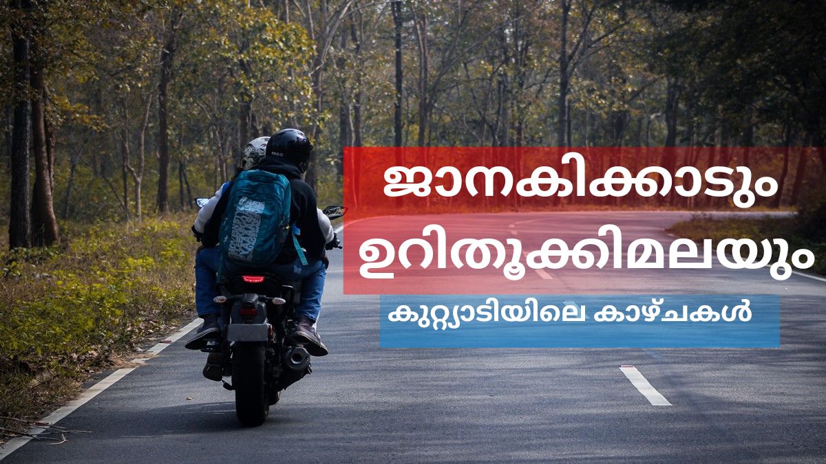 From Janakikadu To Urithookkimala And Peruvannamuzhi: Offbeat Places In ...