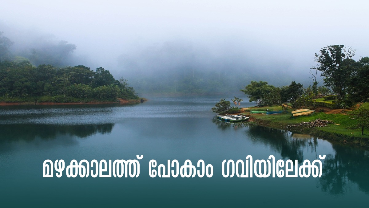 Alappuzha KSRTC Gavi Parunthumpara Tour Package From 7 Depots- Date ...