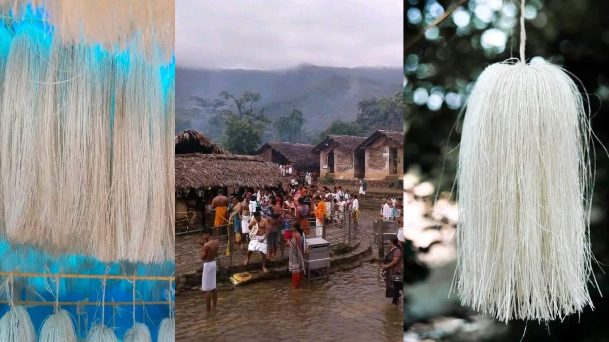 The Mystery and Beliefs Behind The Odapoovu Prasada In Kottiyoor Temple ...