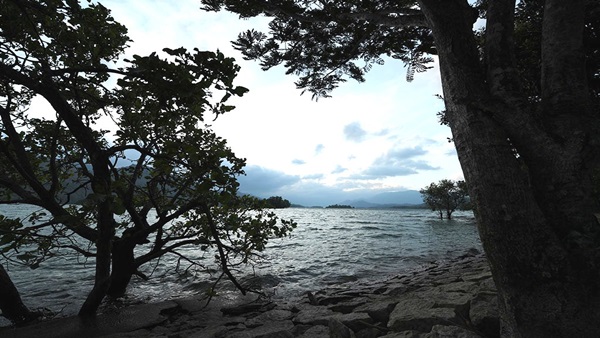 kerala Forest Department Introduce Rosemala Travel Package at just 250 ...