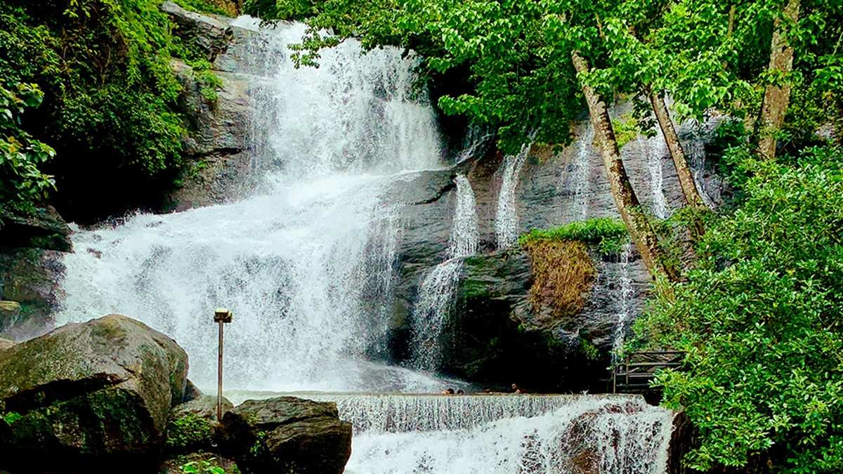 This Is Why You Should Visit Piravom Areekkal waterfalls In Monsoon ...