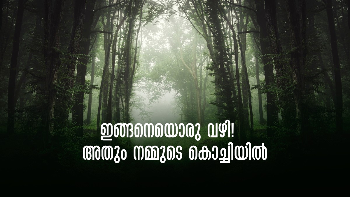 Illithode Near Malayattoor- A Short Oneday Driving Spot From Kochi ...