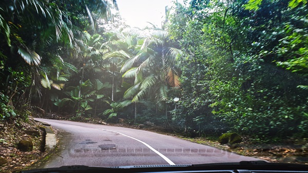 Illithode Near Malayattoor- A Short Oneday Driving Spot From Kochi ...