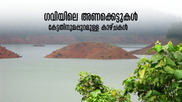 Gavi Forest Trip- These Are The Dam Sights You Can Visit In One Day ...