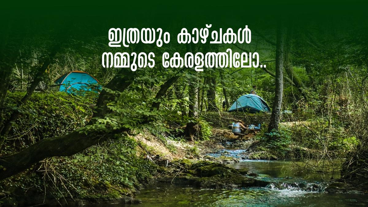 Thenmala Package- Eco Tourism Centre In Kollam- Don't Miss These 5 ...
