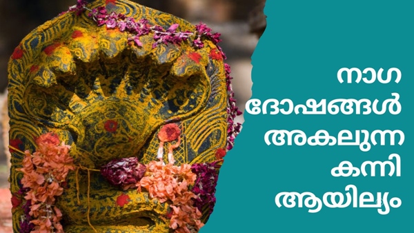 Kanni Ayilyam 2023:5 Less Known Naga Temples In Kerala To Visit In ...