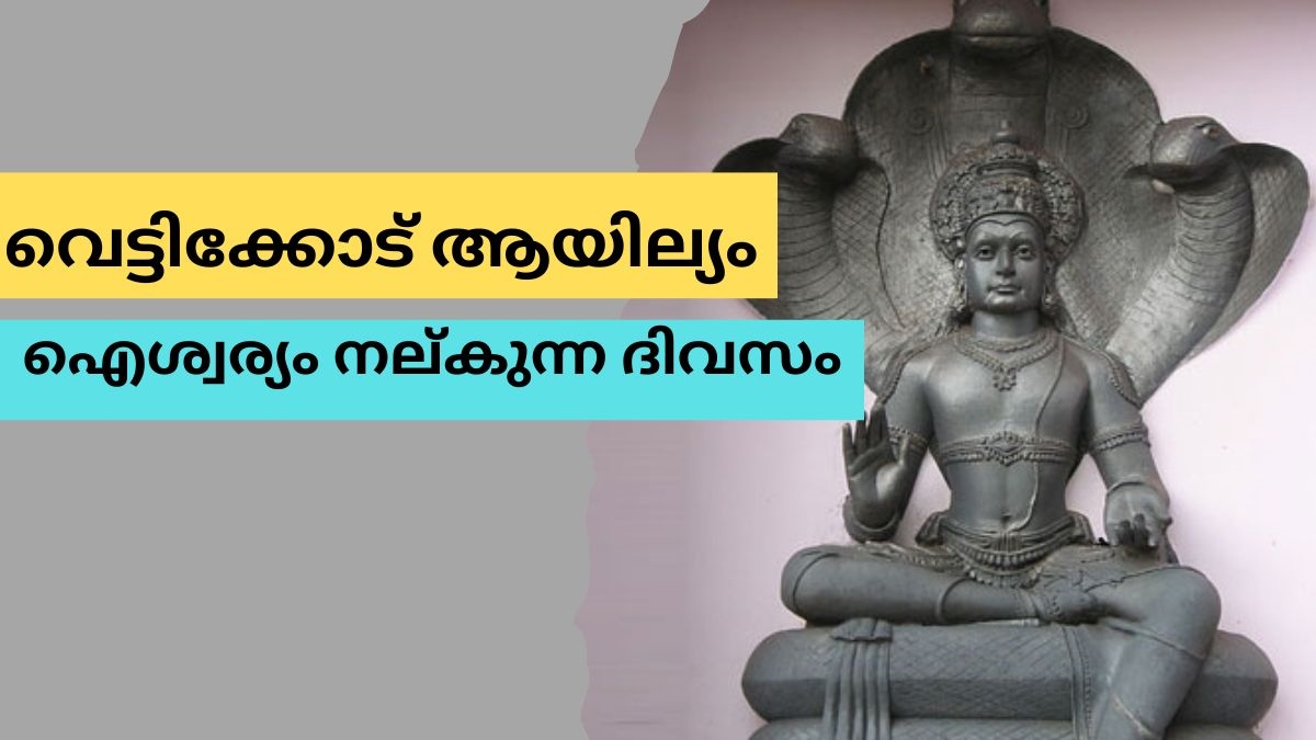 Vetticode Aayilyam On October 9 In Adimoolam Nagaraja Temple ...