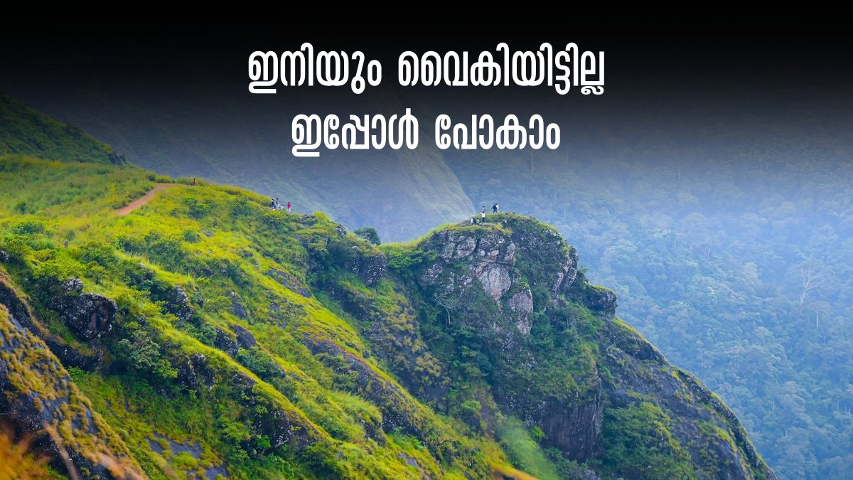 Munnar, Vagamon,Athirappilly, Gavi- Kozhikode KSRTC Travel Packages ...